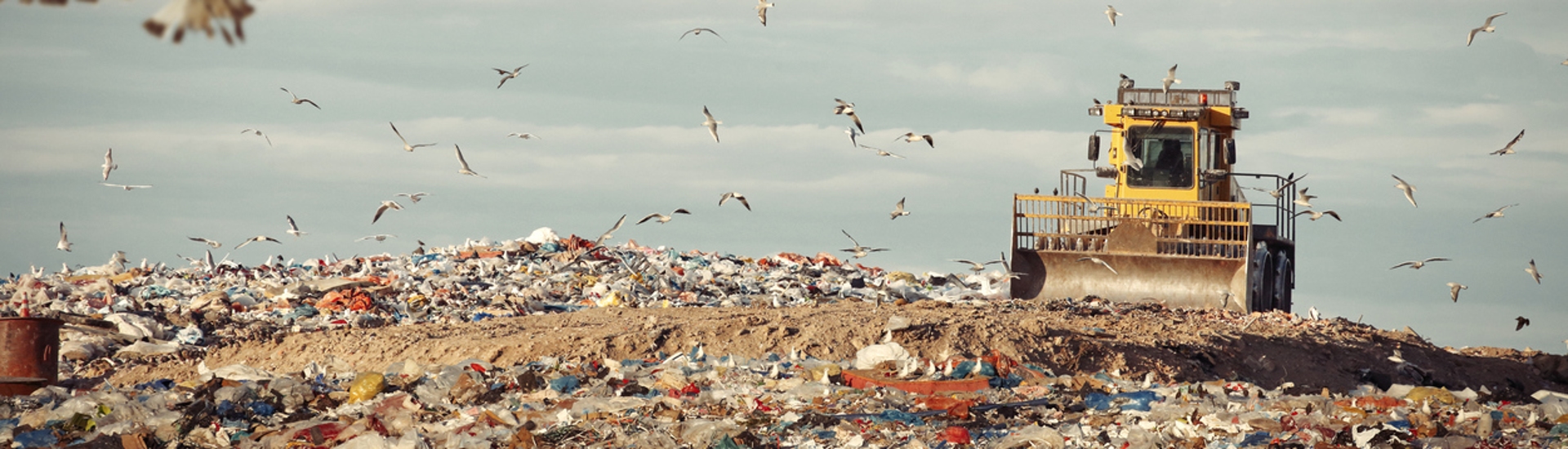 Uncovering Methane Dangers: Risks, Sources, and Solutions